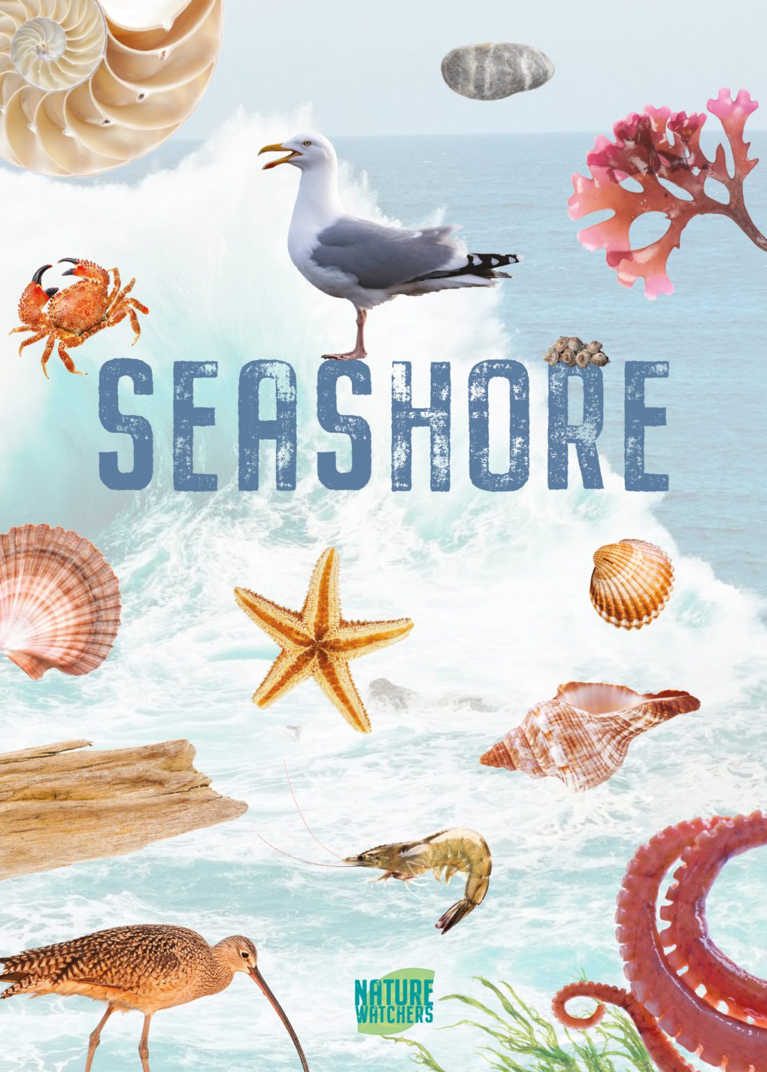 Nature Watchers – Seashore – REBO International